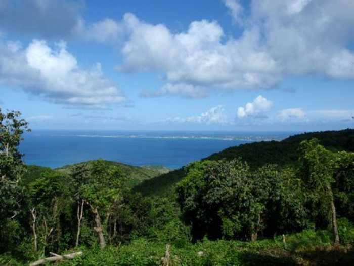 Terrain a pic paradis - Ventes Terrain Saint-Martin • Cyphoma