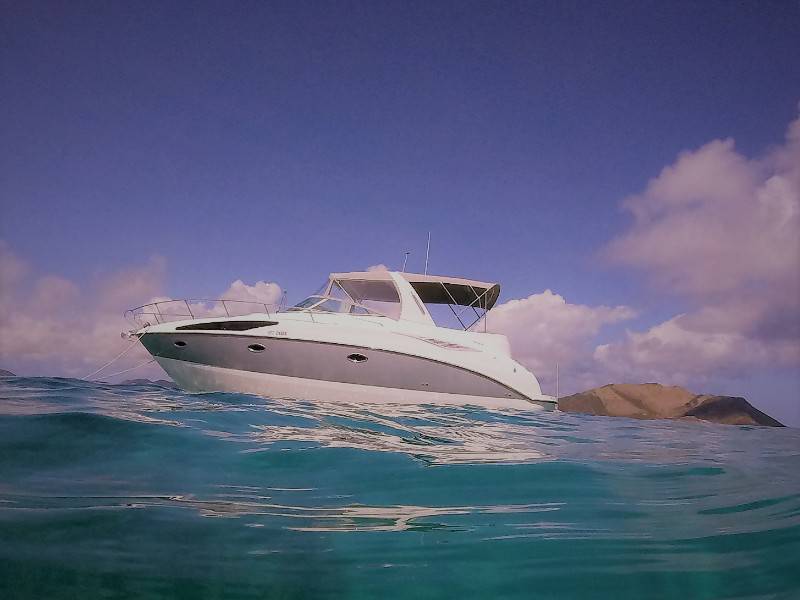 Bayliner 340 - Bateaux à moteur Saint-Martin • Cyphoma