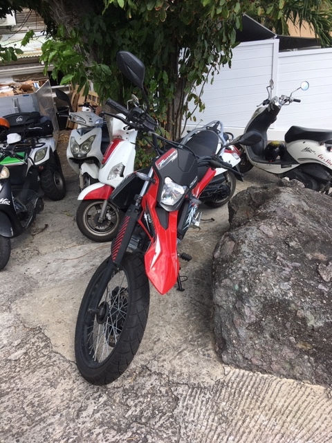 Gato panther 250 - Motorbikes, scooters & quads Saint Barthélemy • Cyphoma