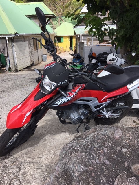Gato panther 250 - Motorbikes, scooters & quads Saint Barthélemy • Cyphoma