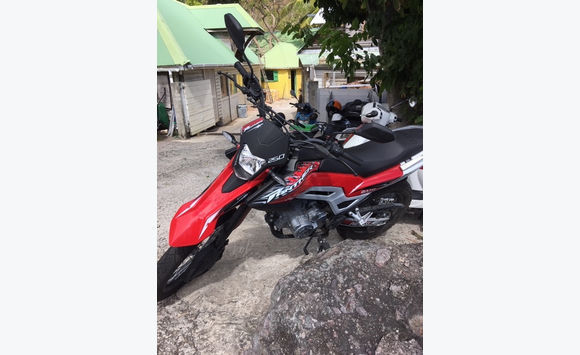 Gato panther 250 - Motorbikes, scooters & quads Saint Barthélemy • Cyphoma
